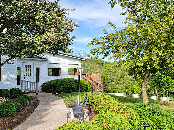 The unassuming exterior of Spillway Lodge stands like a culinary oasis in rural Clarksville, where that majestic tree has probably witnessed decades of happy diners arriving hungry and leaving content.