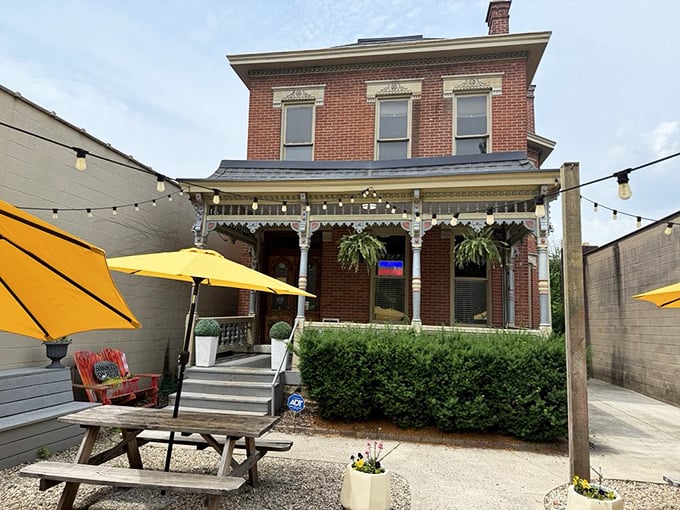 The Victorian charm offensive! This brick beauty houses not tea parties but smoky treasures, proving that sometimes the most elegant buildings harbor the most primal delights.