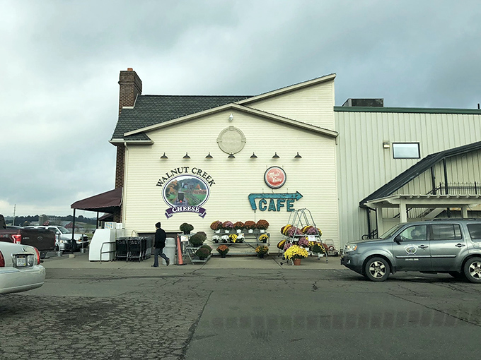 The unassuming exterior of Walnut Creek Cheese belies the wonderland within&mdash;like finding Narnia in Ohio's Amish Country.