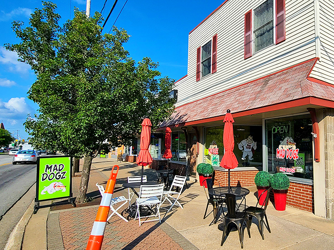 The unassuming storefront of Mad Dogz in Comstock Park might not look like a culinary destination, but those red planters are practically waving you in for flavor adventures.