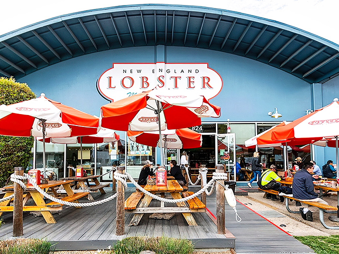 The blue building with vibrant red umbrellas isn't trying to be subtle &ndash; it's proudly announcing that your lobster fantasies are about to come true.