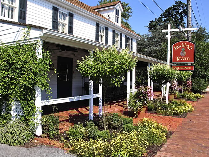 The historic white clapboard exterior of Buckley's Tavern welcomes you like an old friend, complete with lush greenery and that iconic red sign promising good times ahead.