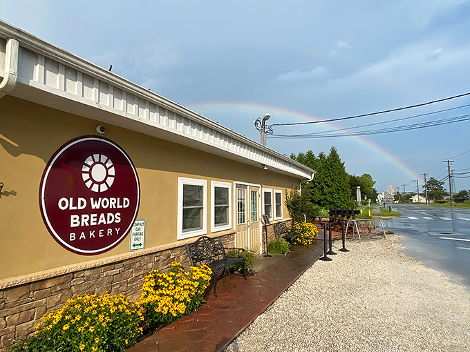 The rainbow over Old World Breads isn't just nature showing off—it's a cosmic sign pointing hungry travelers to their carb-laden destiny.