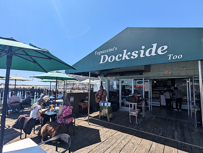 The waterfront welcome wagon! Tognazzini's Dockside Too offers seaside dining where the ocean breeze comes complimentary with every meal.