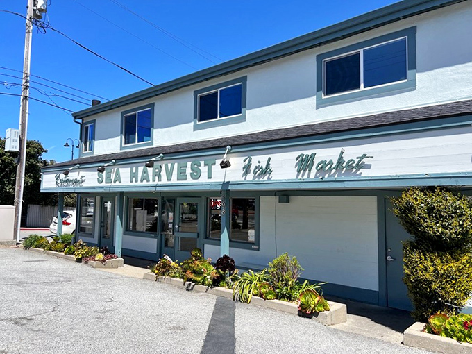 The unassuming exterior of Sea Harvest belies the seafood treasures within. Like finding a pearl in an oyster, this place is Monterey's best-kept secret.