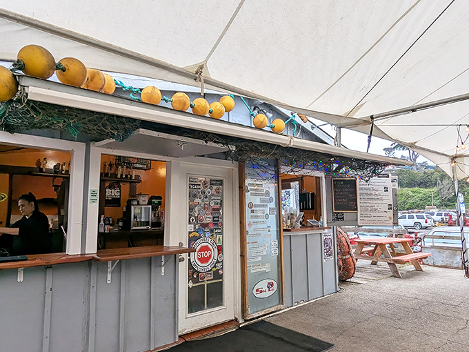 The unassuming entrance to seafood paradise. Yellow buoys dangle like maritime Christmas ornaments above this humble harbor shack where culinary magic happens daily.