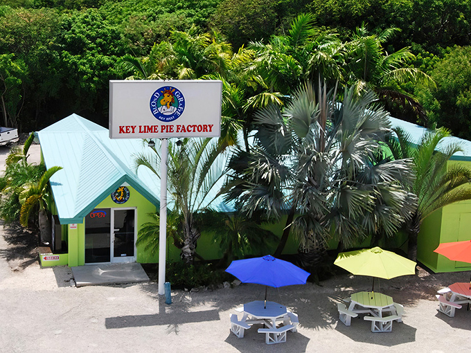 This lime-green paradise looks like a tropical fever dream designed by someone who truly understands joy.