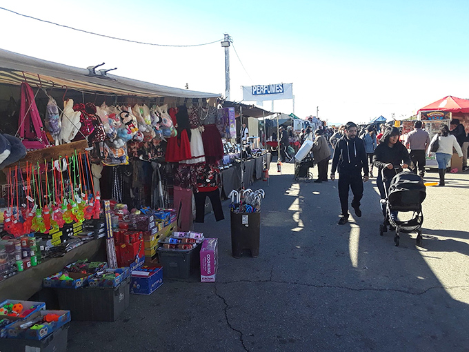 Treasure hunters navigate the bustling aisles of San Fernando Swap Meet, where colorful toys and clothing create a retail wonderland that makes mall shopping seem downright boring.