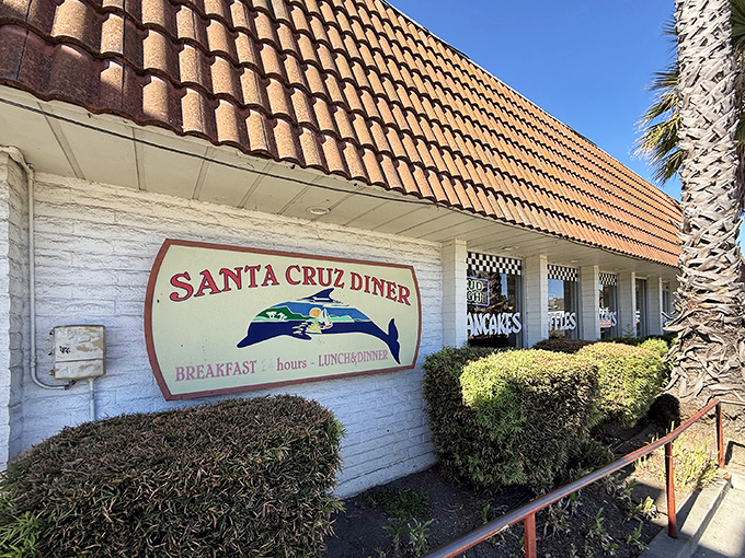 The iconic blue whale sign beckons hungry travelers like a lighthouse for the famished. Classic A-frame roof and checkered racing flags promise comfort food worth the pit stop.