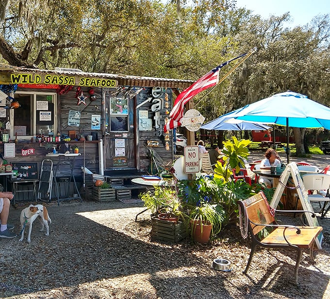 Wild Sassa's weathered wooden façade isn't winning architectural awards, but that colorful "Seafood Tacos & More" sign promises the kind of authentic Florida experience money rarely buys.