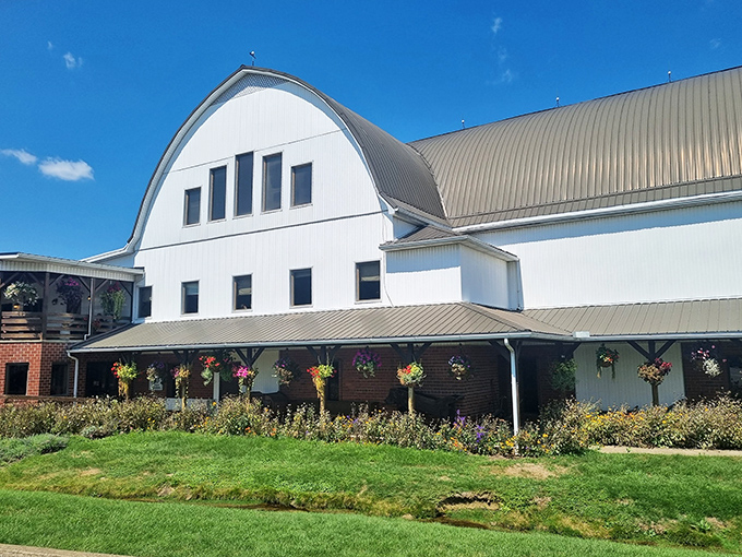 The iconic white barn structure stands proudly against the Ohio sky, like a beacon of comfort food calling hungry travelers home.