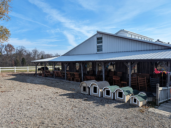 Rainbow warriors standing at attention! These vibrant Adirondack chairs aren't just furniture&mdash;they're mood-enhancing therapy sessions waiting to happen in your backyard.