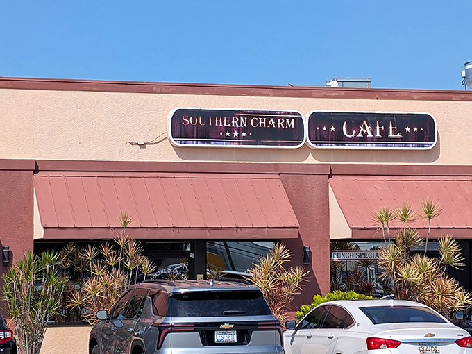 Unassuming storefronts often hide the greatest culinary treasures. This modest facade in Port Canaveral houses breakfast magic worth setting your alarm for.
