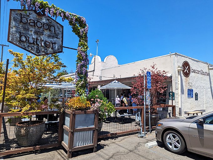 The vine-adorned sign welcomes you like an old friend with a secret. Bacon & Butter's exterior promises comfort food nirvana under Sacramento's perpetually blue skies.