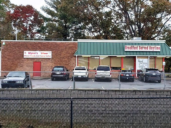 The unassuming brick exterior of Wynn's Diner promises no frills, just honest food. Like a culinary speakeasy, the best spots never need flashy signs.