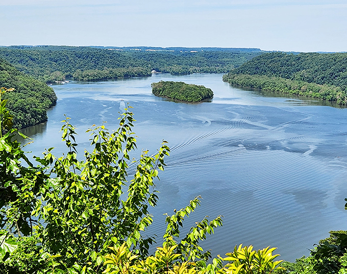 Nature's own IMAX experience! The Susquehanna River curves majestically through lush green hills, with Crow Island sitting like nature's centerpiece in this breathtaking panorama.