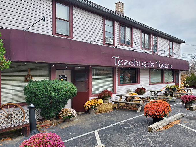 The burgundy awning of Teschner's Tavern welcomes hungry travelers like a culinary lighthouse, complete with seasonal mums that could win garden club awards.