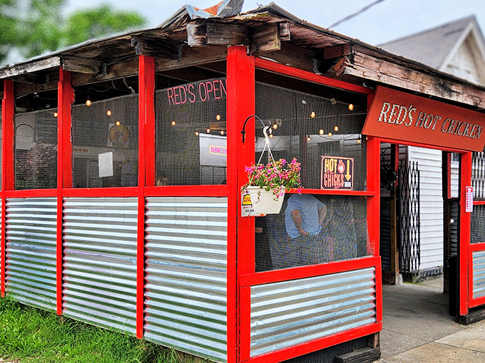 The unassuming exterior of Red's Hot Chicken proves once again that culinary treasures often hide behind the simplest facades. That order window has seen countless Nashville heat seekers.