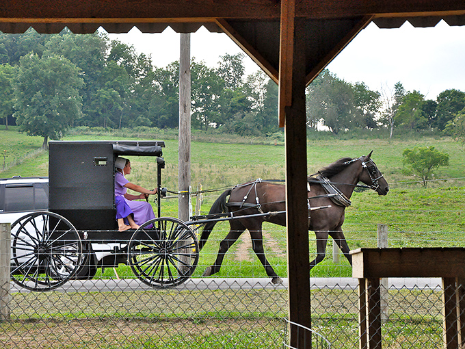 Horse-drawn transportation isn't just for history books&mdash;it's Tuesday in Berlin. Where else can your GPS be replaced by the gentle clip-clop of hooves?