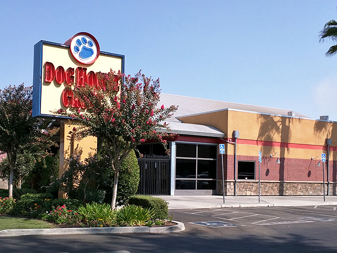 That cheerful blue paw print logo beckons like a friendly neighborhood invitation to burger bliss.