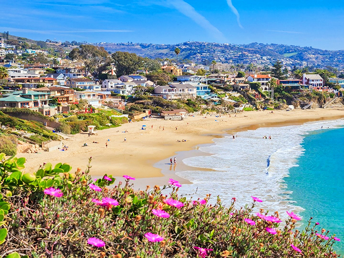 Nature's perfect canvas: Carmel Beach's golden sands meet turquoise waters while wildflowers provide front-row seats to this daily masterpiece of coastal splendor.