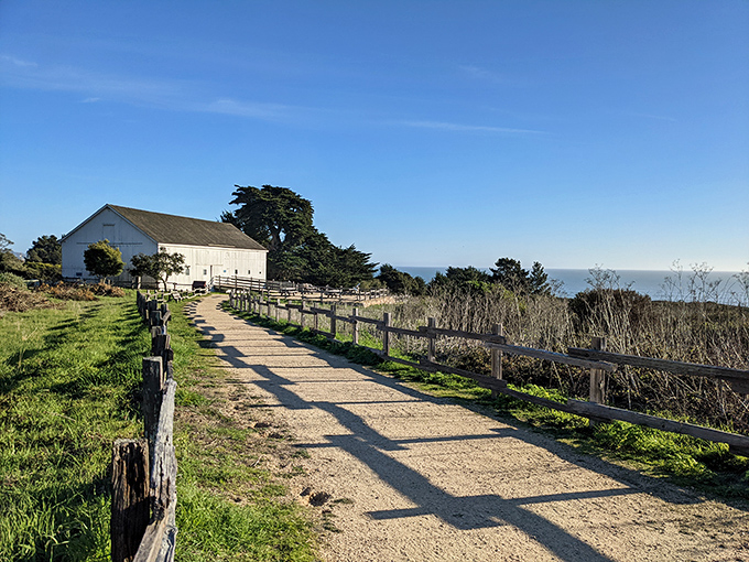 A wooden bench perched at nature's theater box, offering front-row seats to the Pacific's endless blue performance.