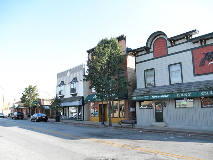 Grayslake's downtown stretches toward the shimmering lake beyond, offering postcard-perfect views without the premium price tag that usually accompanies waterfront living.