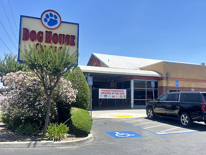 That cheerful blue paw print logo beckons like a friendly neighborhood invitation to burger bliss.