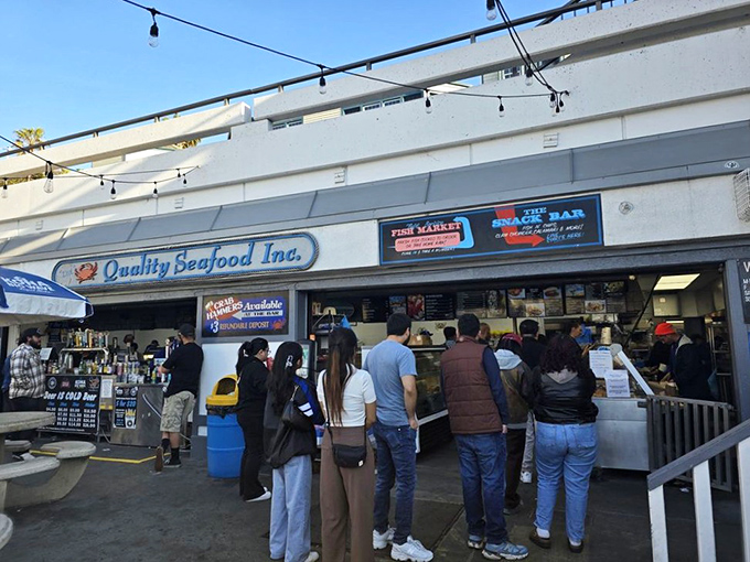 The unassuming storefront of Quality Seafood might not scream "culinary destination," but that's exactly how the best seafood treasures are often found.