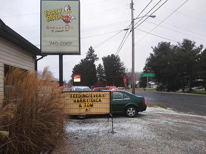 That cheerful cartoon bird isn't just decoration &ndash; it's a promise of the breakfast magic waiting inside.