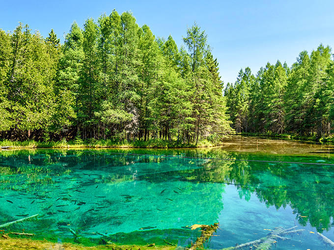 Nature's own infinity pool! This aerial view showcases Kitch-iti-kipi's otherworldly blue-green waters surrounded by Michigan's autumn splendor.
