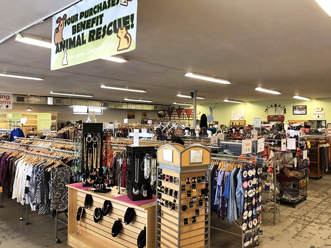 This is inside the unassuming brick exterior of Second Life Upscale Resale; a treasure trove within. Like a speakeasy for bargain hunters, the modest storefront is just the beginning.