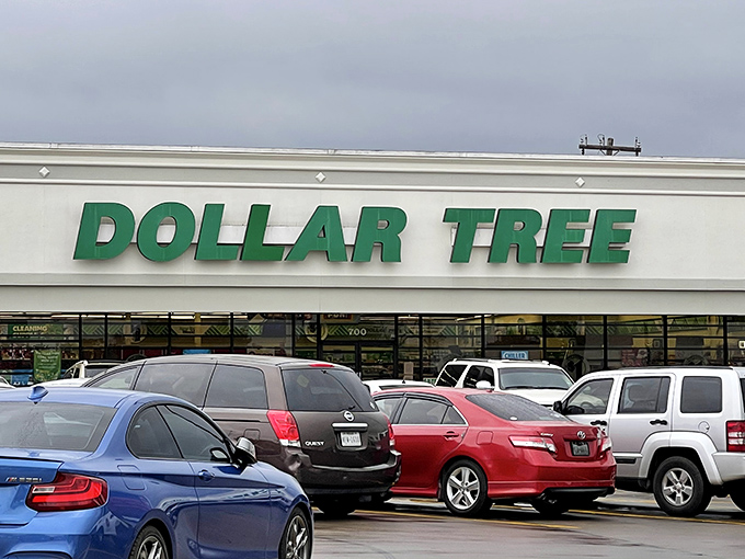 The iconic green Dollar Tree sign beckons bargain hunters like a beacon of hope in a sea of retail inflation.