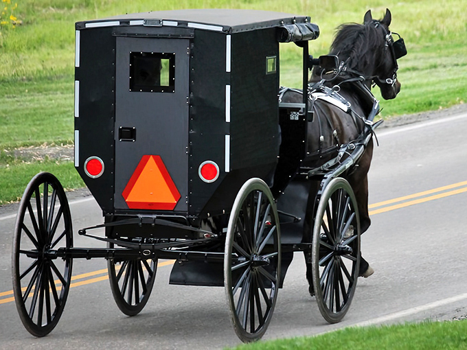 The original rideshare service. A horse-drawn buggy meanders down a country lane, reminding us that sometimes the journey really is the destination.