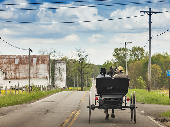 The quintessential Amish Country moment: a horse-drawn buggy clip-clops past historic brick buildings in downtown Millersburg, where modern life respectfully shares the road with tradition. 