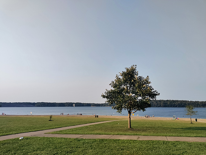 Nature's perfect framing: a solitary tree stands sentinel over East Fork's sandy shores, where lake meets sky in a quintessential Midwestern panorama.