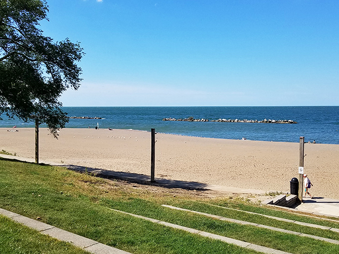 The golden sands of Lakeview Park stretch toward Lake Erie's horizon, framed by nature's own artwork of twisted trees and blue skies.