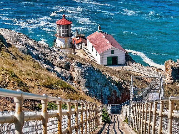 The iconic Point Reyes Lighthouse clings to the cliff like a determined postage stamp on California's wildest envelope. Those 300+ steps suddenly seem worth it.
