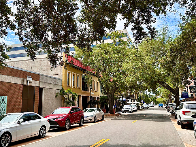 Bradenton's Riverwalk offers that rare Florida trifecta: stunning water views, shaded benches, and enough personal space to avoid hearing strangers' phone conversations.