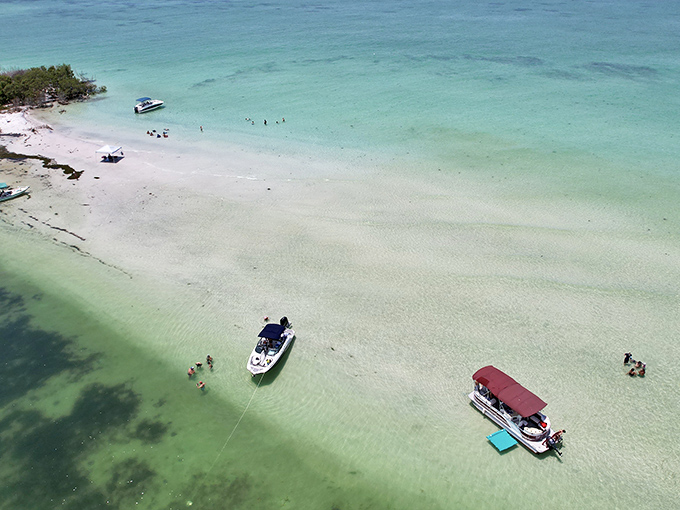 Palm trees standing like nature's welcoming committee along pristine shorelines. This untouched paradise feels like Florida before postcards were invented.
