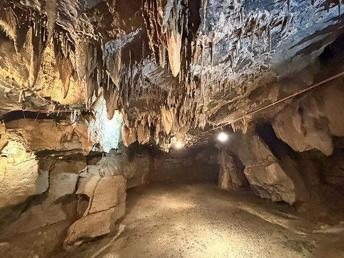 Nature's grand entrance hall welcomes you with limestone walls that have been perfecting their hospitality for millennia.