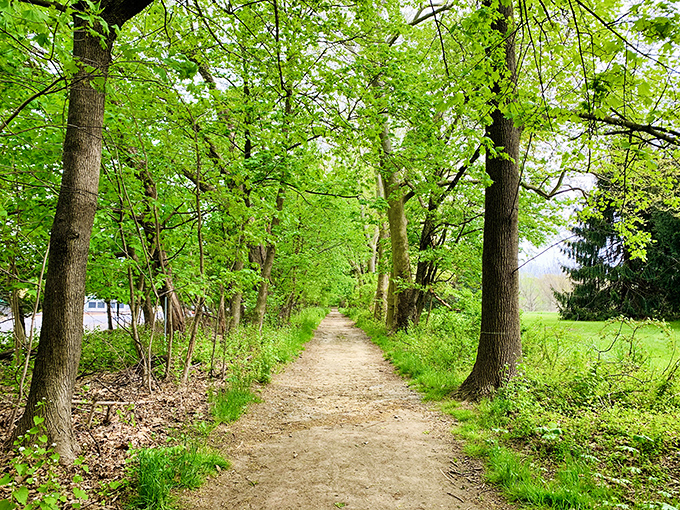Nature's perfect corridor beckons with a canopy of green. This tranquil trail at Bellevue invites you to leave your worries&mdash;and possibly your cell reception&mdash;behind.