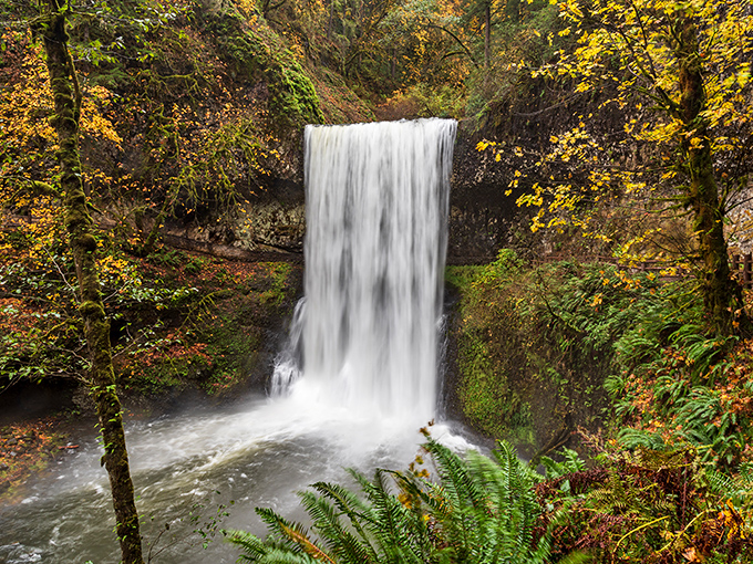 Nature's perfect curtain call: South Falls plunges 177 feet through autumn's golden frame, creating a scene that makes professional photographers question their career choices.