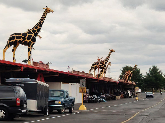 The unassuming exterior of Medina Antique Mall hides a universe of treasures inside, like finding the Tardis of vintage collectibles in Ohio.