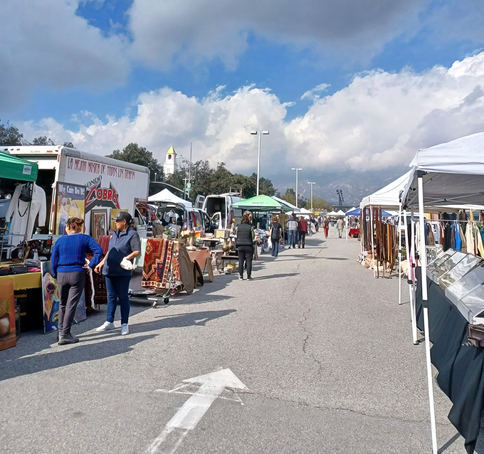 From above, the PCC Flea Market transforms a college parking lot into a treasure hunter's paradise where one person's castoffs become another's conversation piece.