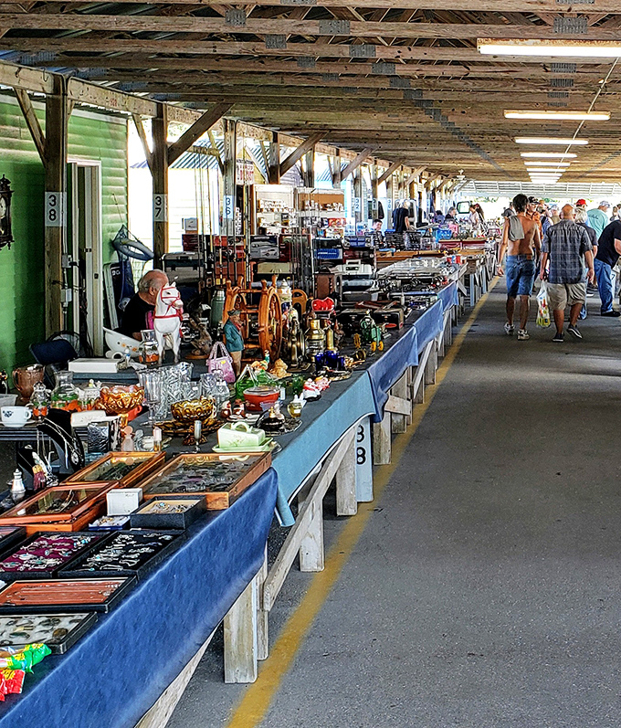 Endless rows of treasures stretch beneath weathered pavilions where every table holds tomorrow's favorite story.