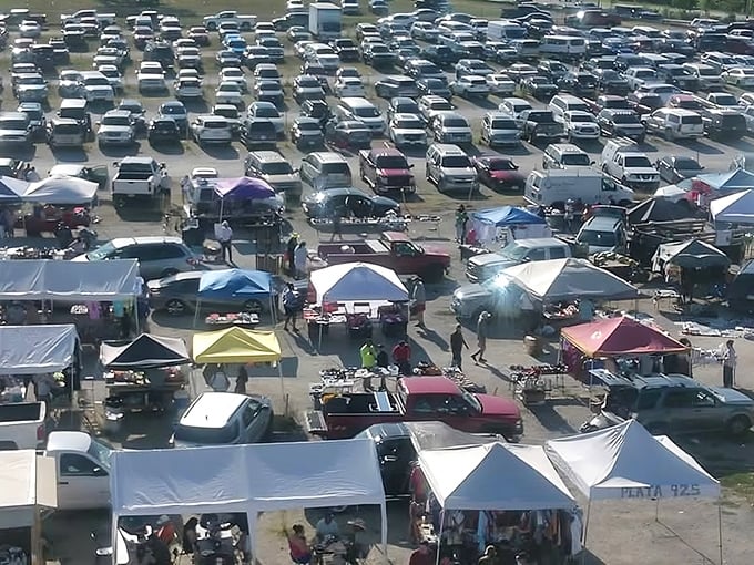 Blue canopies stretch toward the horizon like a bargain hunter's mirage, sheltering treasures both practical and peculiar beneath their protective shade.