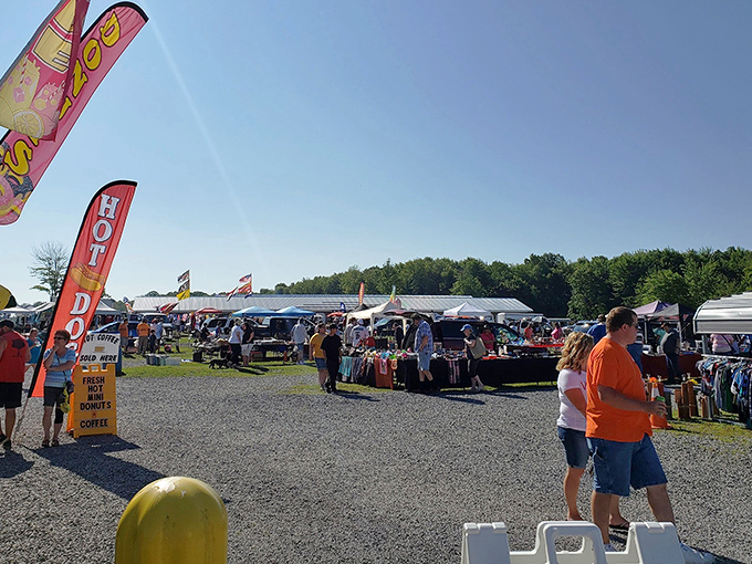 The treasure hunt begins! Rows of vendor stalls stretch across the former drive-in theater grounds, promising discoveries that'll make waking up at dawn worthwhile.