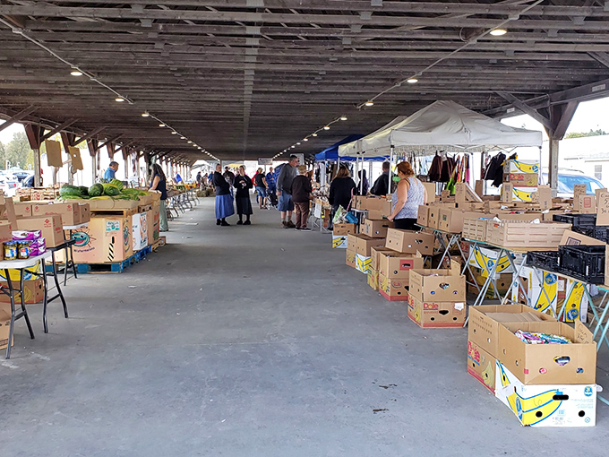 The covered pavilion at Rogers Flea Market buzzes with treasure hunters navigating tables laden with possibilities. Every aisle promises that next great find just waiting to be discovered.