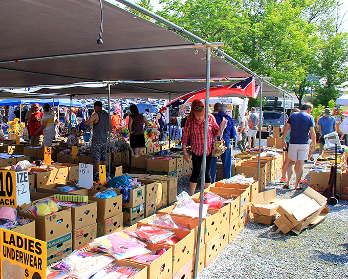 The treasure hunt begins! Vendors set up their wares at Blue Ridge Flea Market, where one person's castoffs become another's conversation pieces.